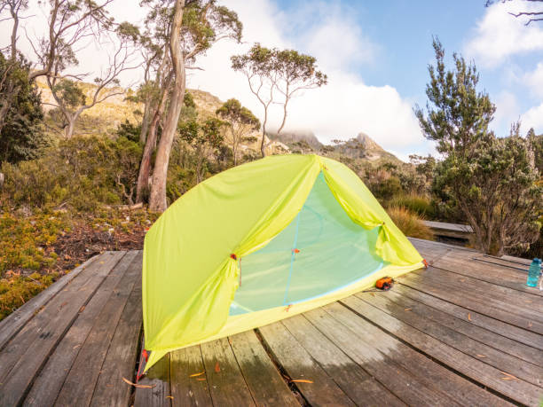 Tarpaulin Uses: Five Common Applications – TarpSolutions